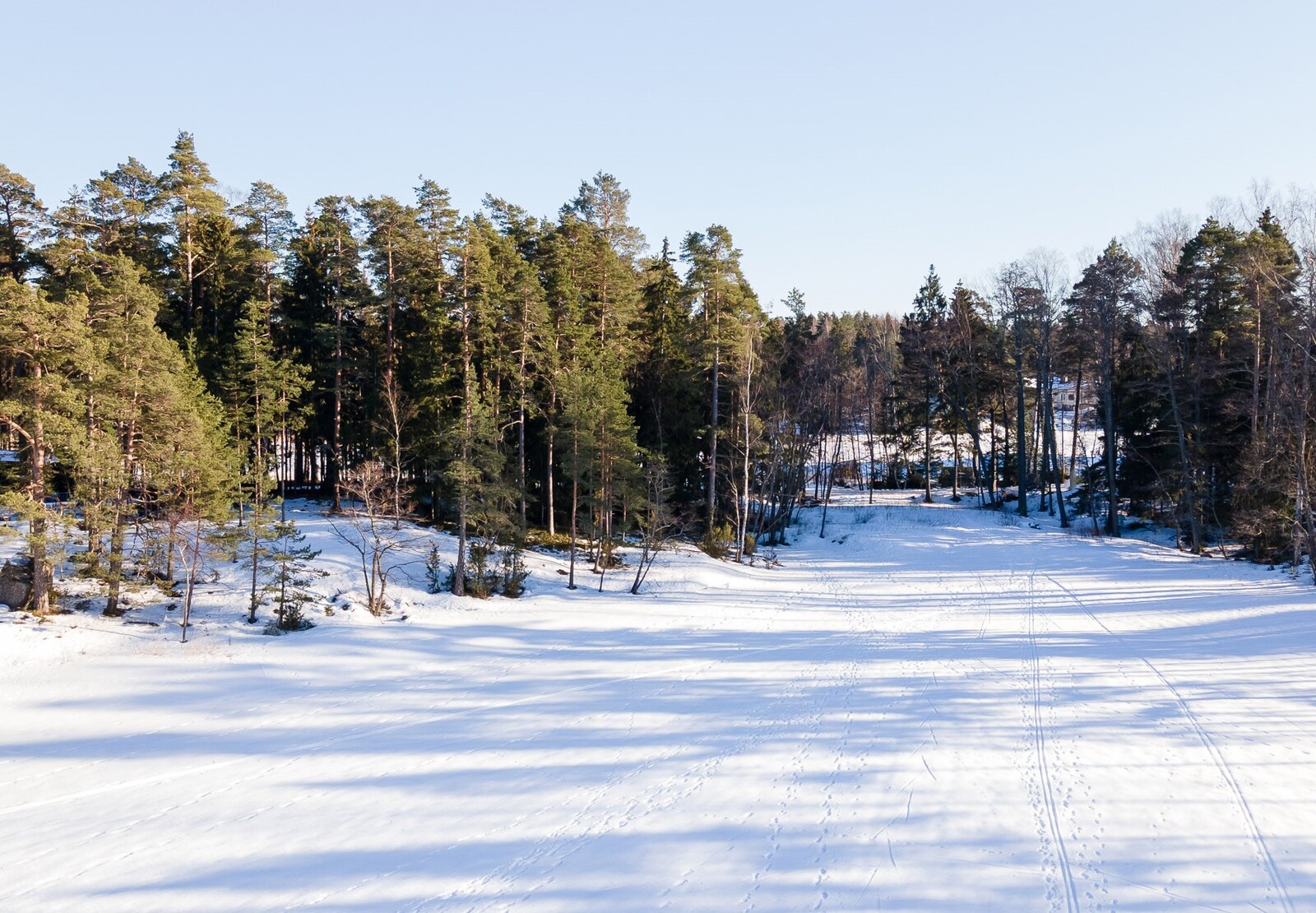 Etusivu - Lea Jakama LKV